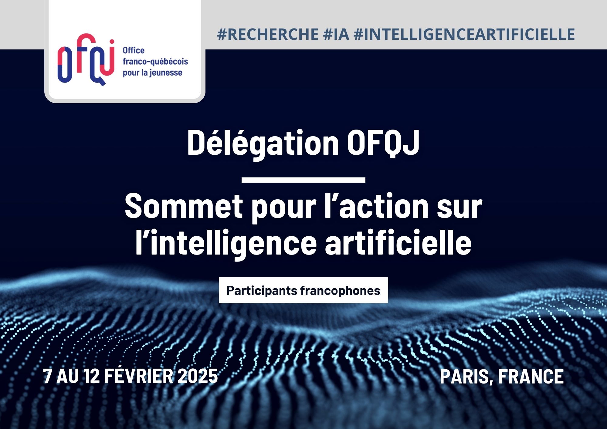 Sommet pour l'action sur l'intelligence artificielle 2025 - Volet ...